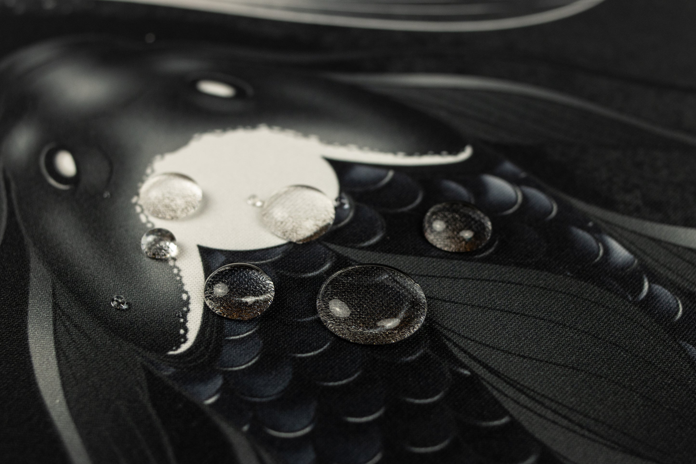 Eternal Harmony – ArcaLoot